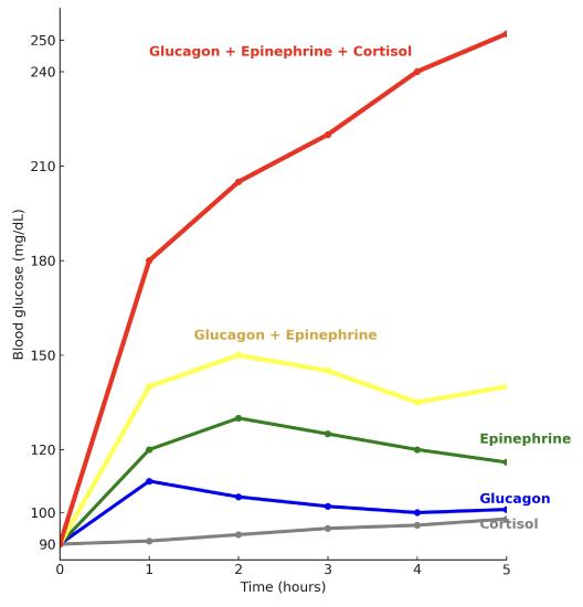 7.4 How Hormones Work Together - Biology LibreTexts