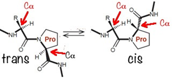 8.8: Turning polypeptides into proteins - Biology LibreTexts