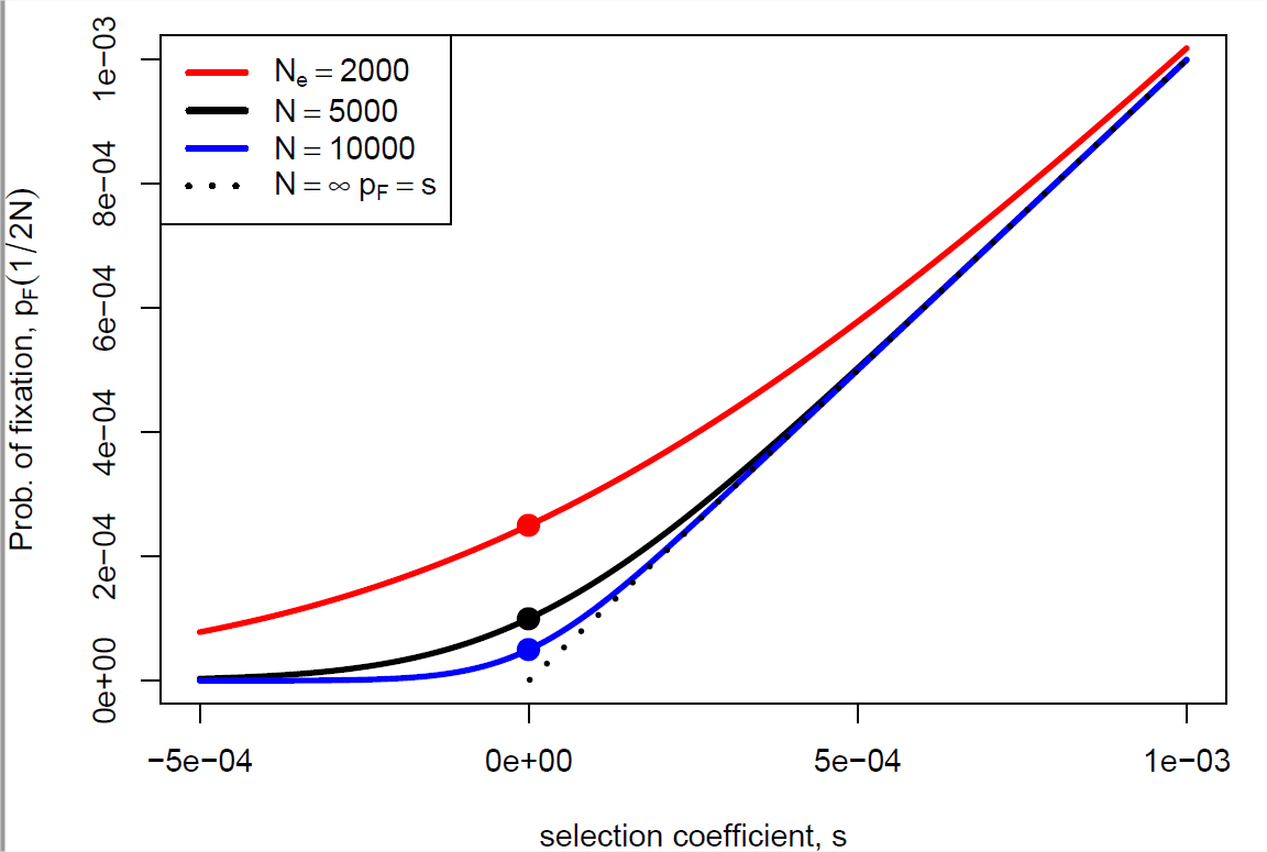 12 The Impact Of Genetic Drift On Selected Alleles Biology Libretexts