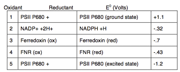1.16: Winter_2025_Bis2A_Facciotti_Reading_16 - Biology LibreTexts