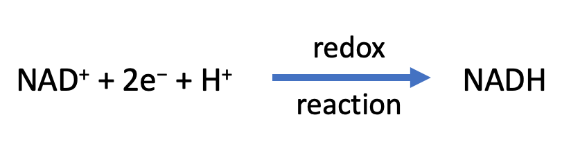 12.1: Introduction - Biology LibreTexts