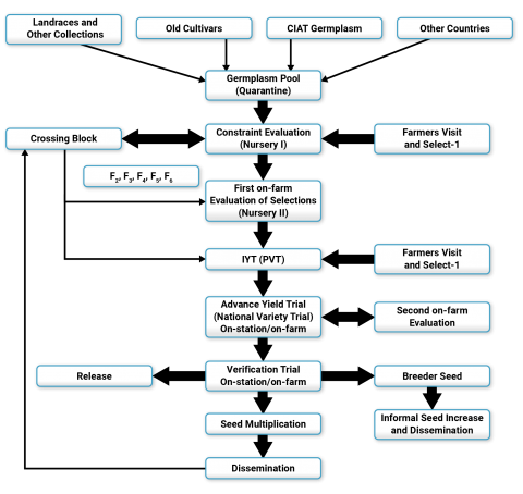 1.7: Participatory Plant Breeding and Participatory Variety Selection ...