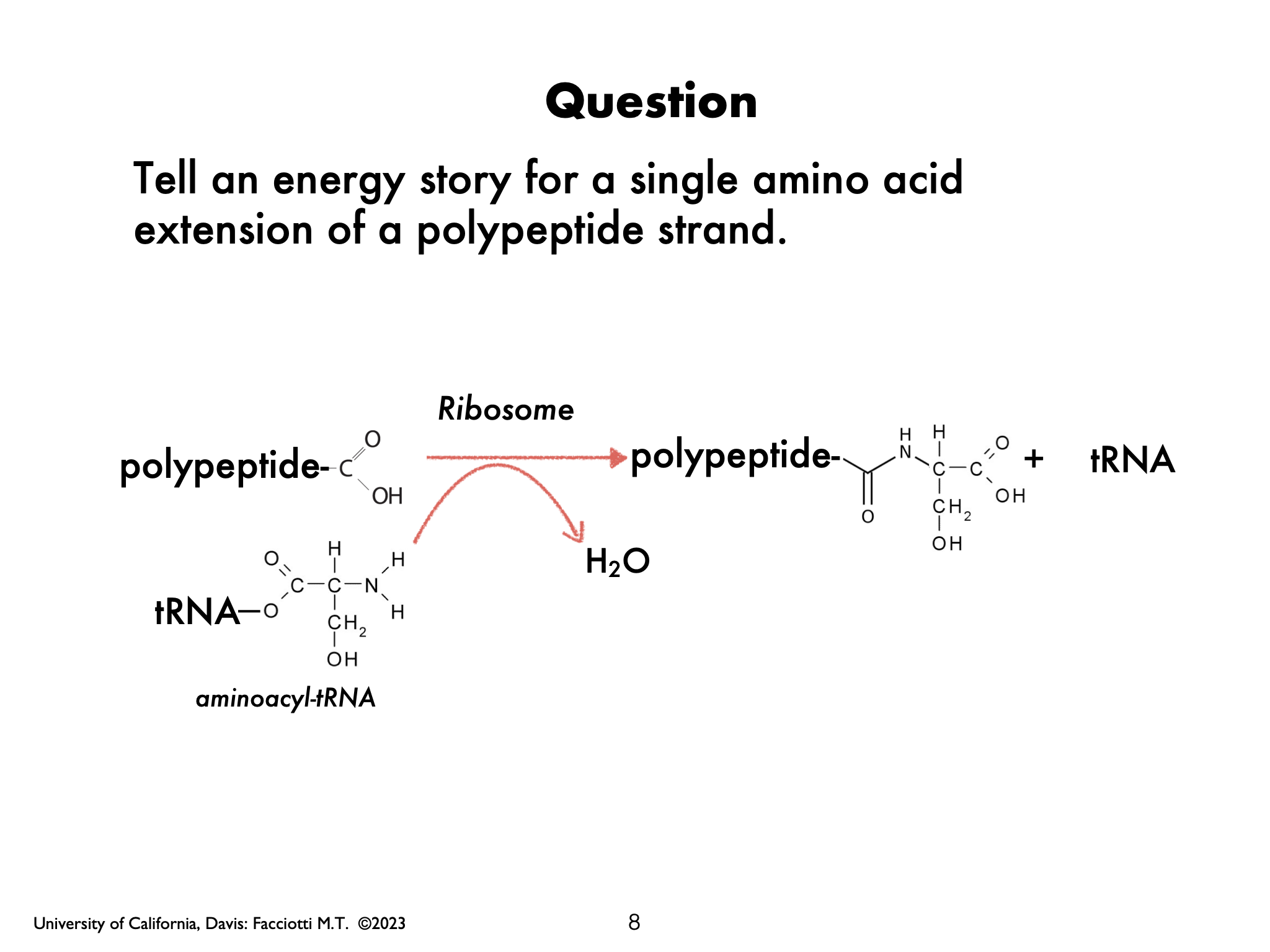 16.3: Winter_2024_Bis2A_Facciotti_Slides_Reading_21 - Biology LibreTexts