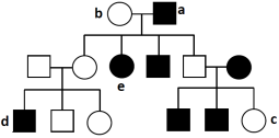 3.4: Pedigree Analysis - Biology LibreTexts