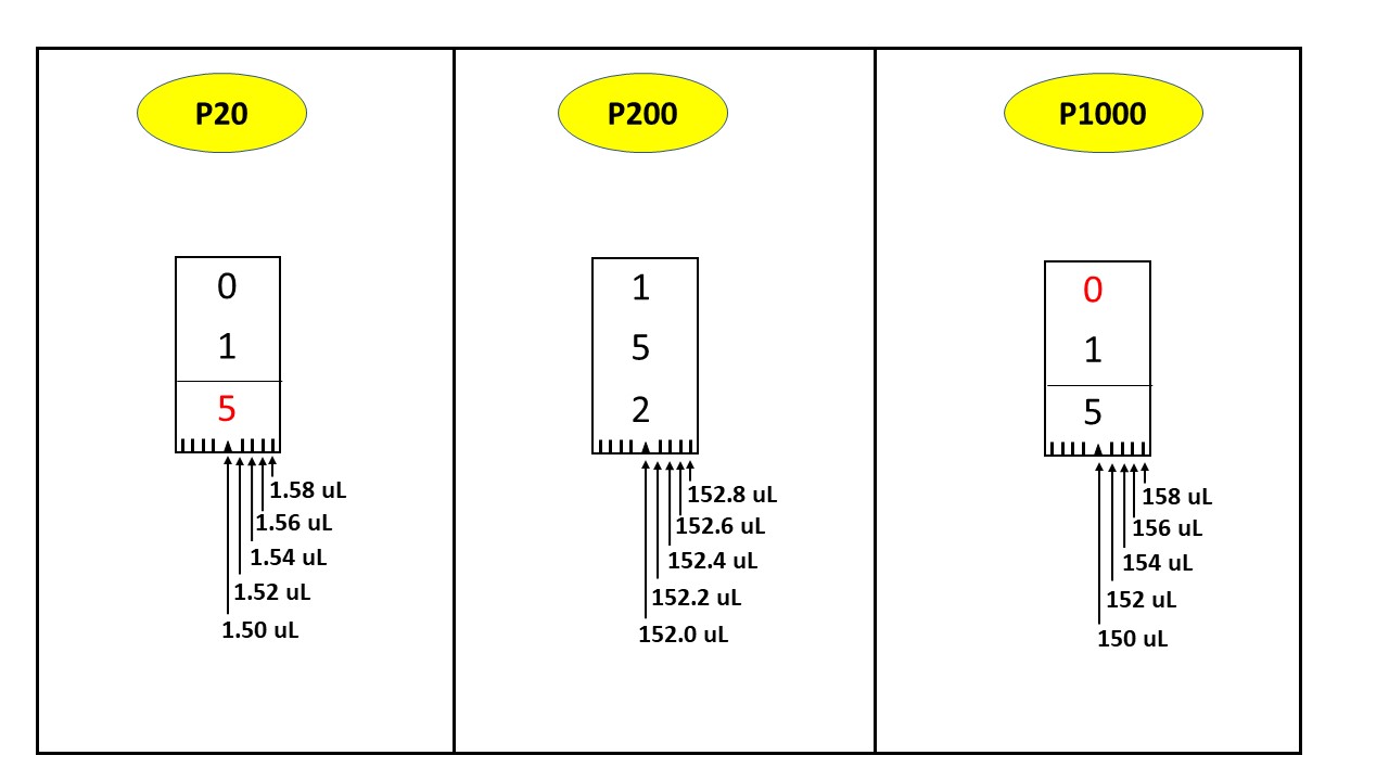 13.1: Lab Technique - Pipetting - Biology LibreTexts