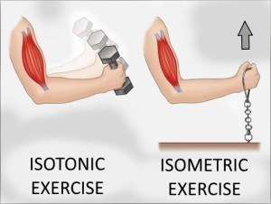 Lab 2 - Musculoskeletal System - Biology LibreTexts
