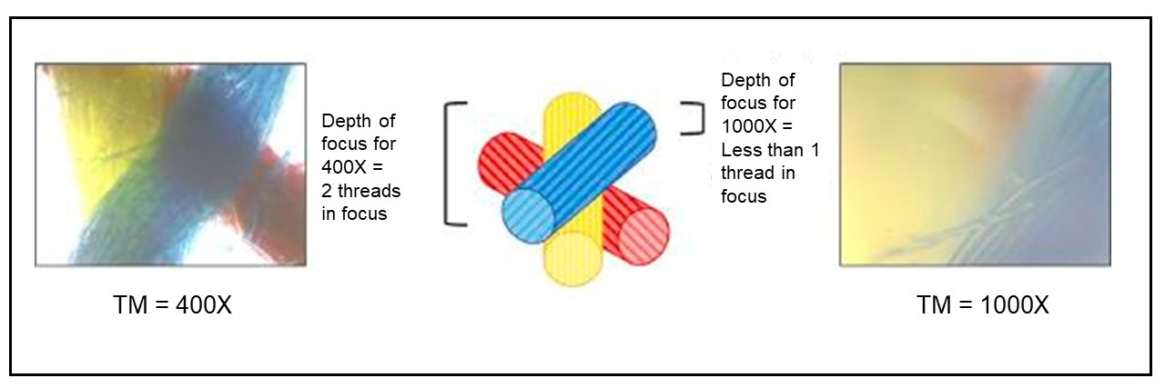 13.14: Lab Technique - Light Microscopy - Biology LibreTexts
